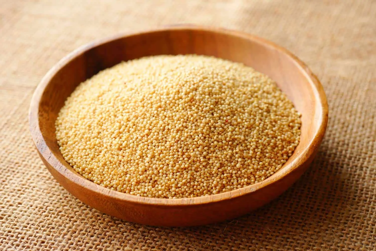 Amaranto Propiedades y Beneficios Vida Saludable